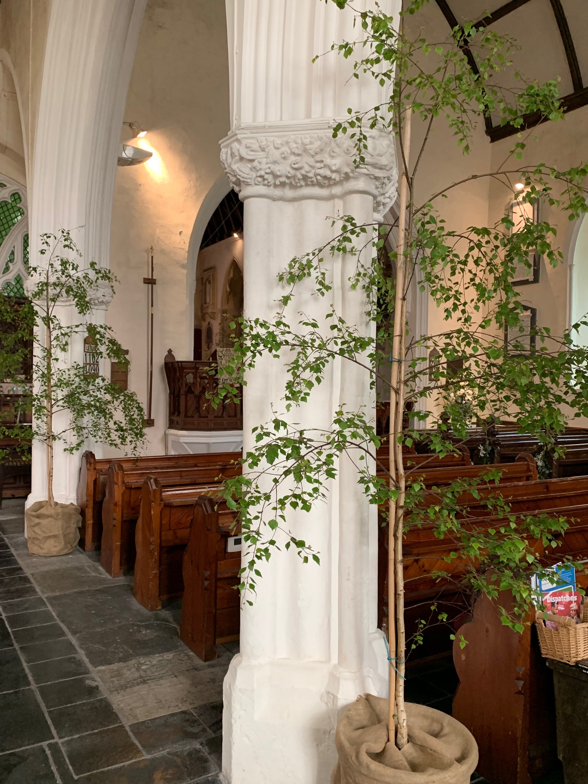 Silver Trees For Weddings